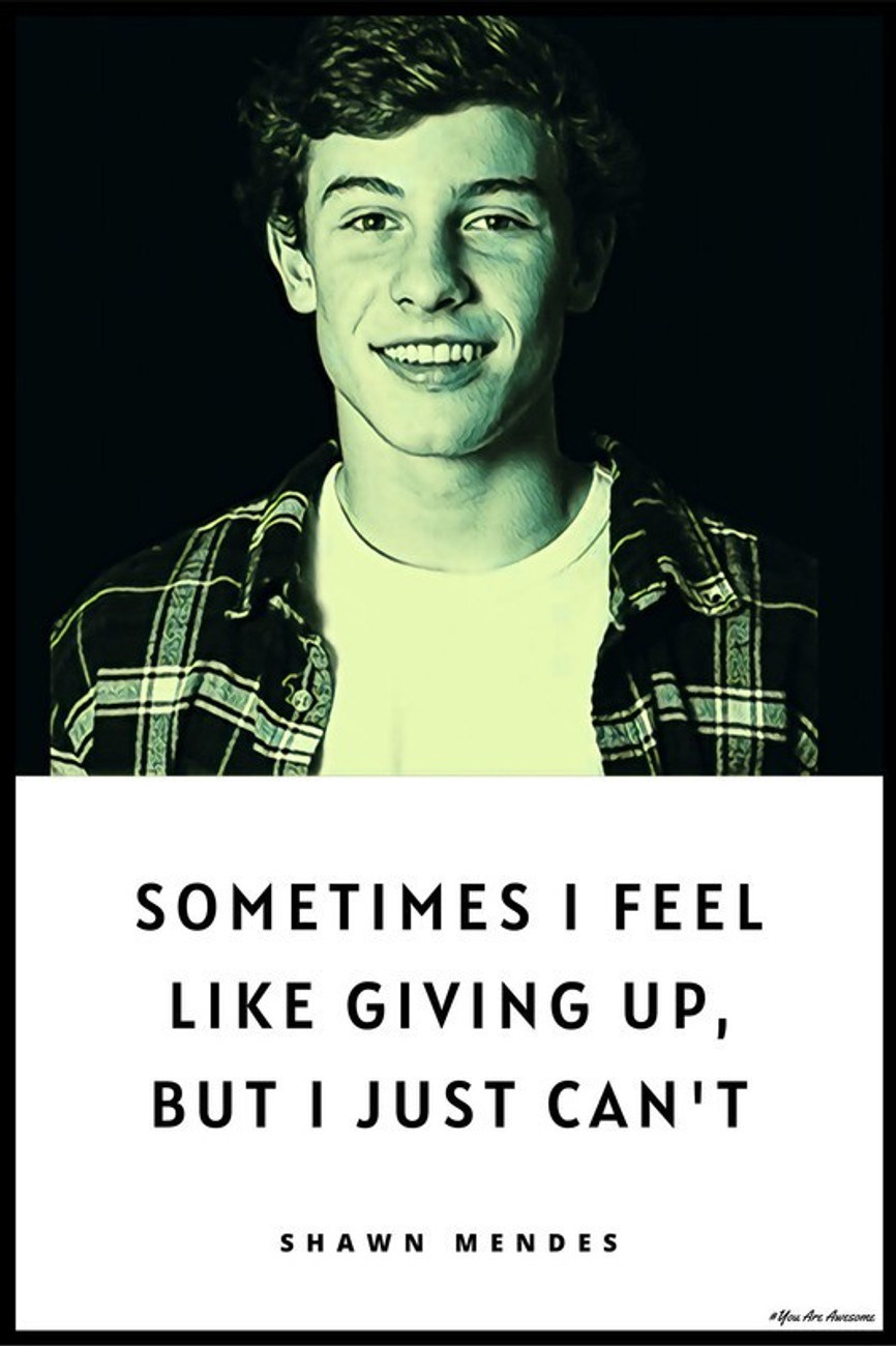 Shawn Mendes Quotes