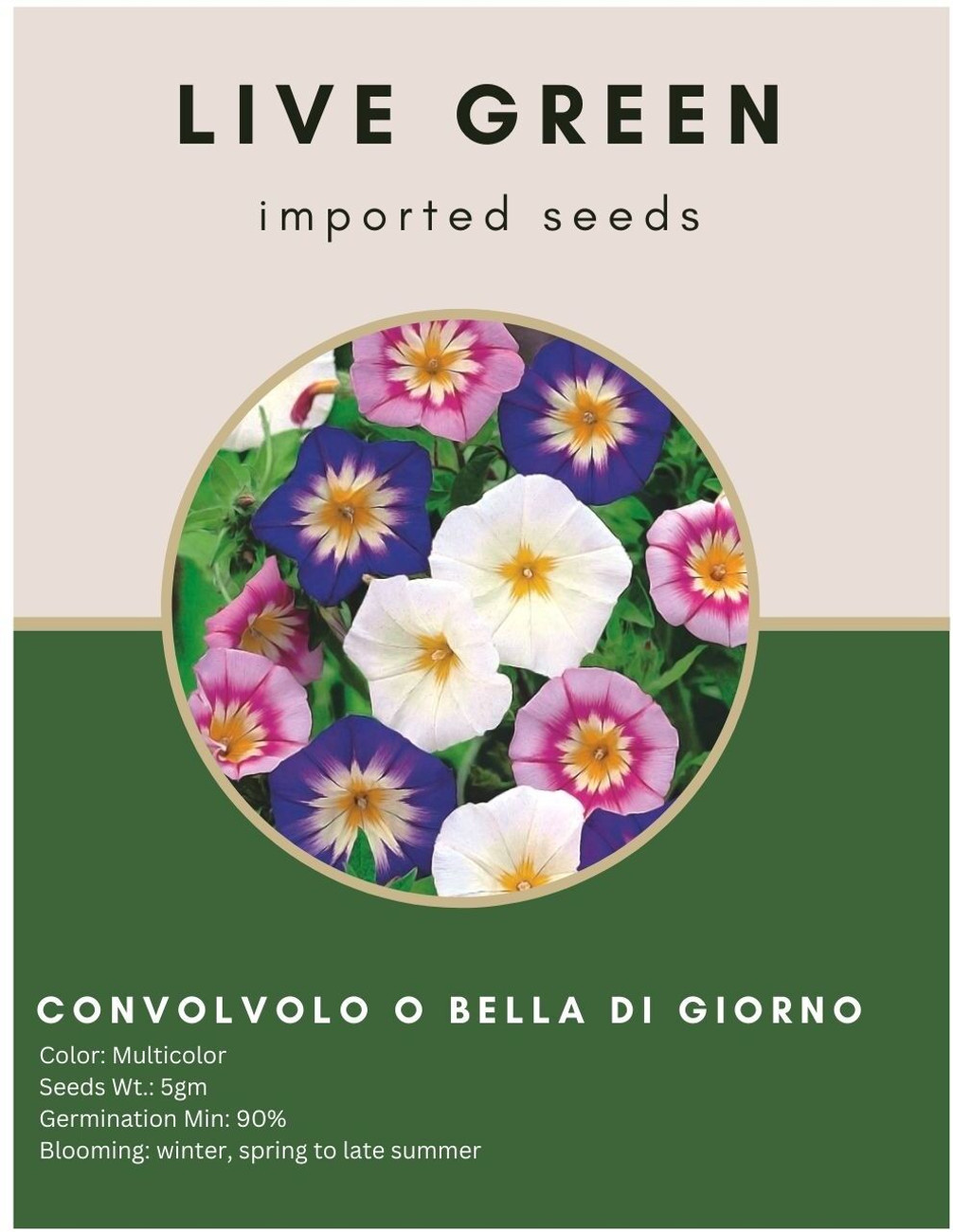 Imported Flower Seeds In India | Best Flower Site
