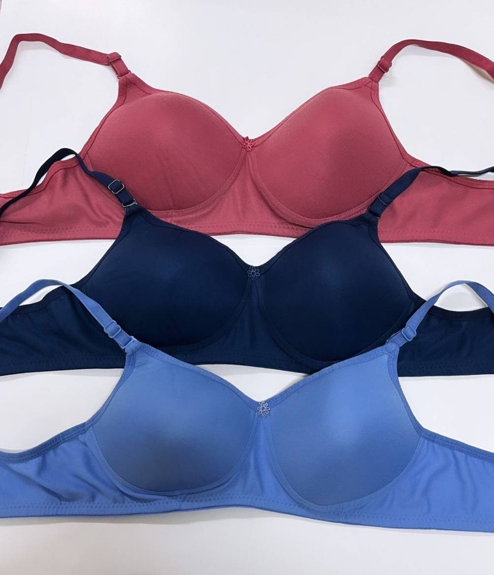 sashu Combo pack of 3 Women T-Shirt Lightly Padded Bra - Buy sashu ...