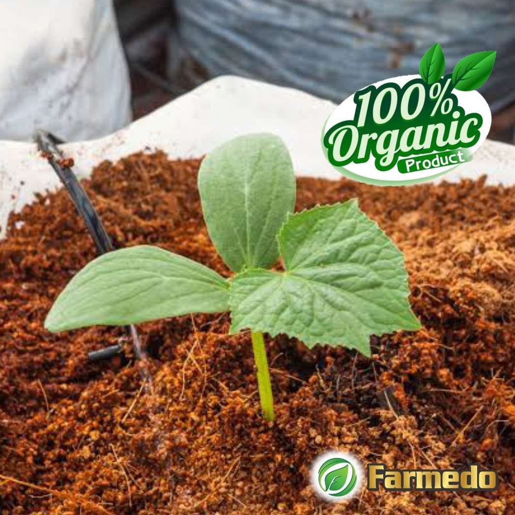 FARMEDO Coirpith Block Organic Soil Manure for Garden, Balcony and ...