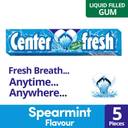 center fresh 15g Pack Of 15 Spearmint Chewing Gum Price in India - Buy ...