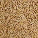 Sindhi Dry Fruits Chilgoza-Giri-1KG Pine Nuts Price in India - Buy Sindhi Dry Fruits Chilgoza ...