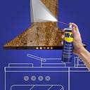 Pidilite Rust Removal Aerosol Spray (Pack of 1, 341 gm) Rust Removal ...