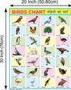English Hindi Birds Chart For Kids | 20x30Inch (51x76cm)| Laminated ...