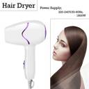 DGDHD Electric Hair Dryer With 2 Speed Control Hair Dryer(1800 W ...