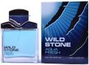 Buy Wild Stone AQUA FRESH PERFUME Eau de Parfum - 100 ml Online In ...