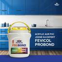 FEVICOL Probond, Special adhesive for PVC and Acrylic Laminates. 5kg ...