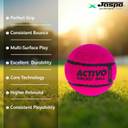 Jaspo Activo Tennis Cricket Ball, 66mm, Wool Felt, 80g, High Bounce ...
