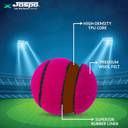 Jaspo Activo Tennis Cricket Ball, 66mm, Wool Felt, 80g, High Bounce ...