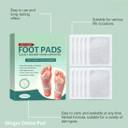 house of common Ginger Foot Patch | Foot Friendly Detox Pads For Easy ...