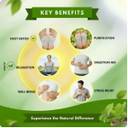 LORSHEL Herbal Giloy Patches | Max Foot Detox Strength - Overnight ...