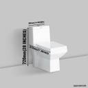 Drops Luxury Bathware S TRAP 9"(225MM) Western Floor Mounted One Piece ...