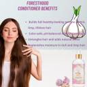 foresthood Garlic conditioner for healthier hair with Panthenol-Pro ...