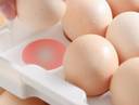 VSELL Egg holder Egg Holder Price in India - Buy VSELL Egg holder Egg ...
