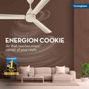 Crompton Energion Cookie 1200mm 48 inch with 1 Year Warranty 1200 mm ...