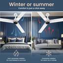 Polycab Wizzy Neo DLX with 2 Year Warranty BLDC Motor 1200 mm Ceiling ...