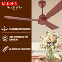 USHA Aeroedge 5 Star 1200 mm 3 Blade Ceiling Fan Price in India - Buy ...