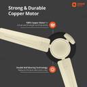 Orient Electric Falcon 400 1200MM High speed Ceiling fan | 5 year ...