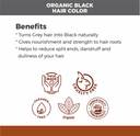 Avira Essential ORGANIC BLACK HAIR COLOR - An Unique Combination of ...