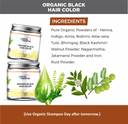 Avira Essential ORGANIC BLACK HAIR COLOR - An Unique Combination of ...