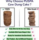 Puspa Handmade Shuddh Desi Cow Dung Cake (Gobar Ke Uple/Kande) For Puja ...