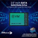 EVM SATA III 256 GB Desktop, Laptop Black SATA III Internal Solid State Drive (SSD) (Read 550 MB ...