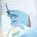 RNGLOB Nichrome Inoculating Loop For Bacterial Tissue Culture Pack of 1 ...