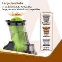 AGARO Royal Slow Juicer, Professional Cold Press Whole Slow Juicer ...