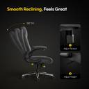 Frido 3D Posture Plus Ergonomic Chair, Home Office Gaming Chair for ...