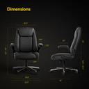 Frido 3D Posture Plus Ergonomic Chair, Home Office Gaming Chair for ...