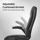 Frido 3D Posture Plus Ergonomic Chair, Home Office Gaming Chair for ...