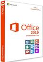 MICROSOFT Office Professional Plus 2019 (1 User/PC, Lifetime ...