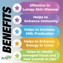 REFIT ANIMAL CARE Lumpy Skin Disease Treatment Supplement For Cow Pet ...