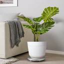 TechBlaze 12 Inch Big Size Gamla Plastic Flower Pot Gamla for Garden ...