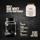 BeastLife Whey Pro Protein Powder with Ultrasorb Tech with Premium ...