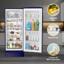 Whirlpool 236 L Direct Cool Single Door 4 Star Refrigerator Online at ...
