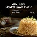 Sugar.fit Sugar Control Low GI Brown Rice | High Fiber, Gluten-Free ...