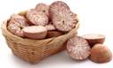 Bakuchi Betel Nut/Supari Plant Price in India - Buy Bakuchi Betel Nut ...