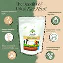 Gardening Bee Organic Paddy Rice Hulls (Husk) For Plants, 100% Pure Mix ...