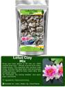 Dharshini Farm Product Lotus Planting Clay Mix – Natural Clay Soil for ...