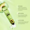 Quench Sunscreen - SPF 50 PA++++ SPF 50+ PA++++ Korean Sunscreen for ...