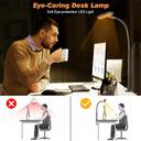 Zorbes Tall LED Desk Lamp for PC Monitor and Study Eye Friendly ...