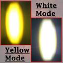 HALONIX PHOENIX EURO GOLD H4 BULB Headlight Car Halogen (12 V, 55 W ...