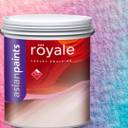 Asian Paints ROYALE RADIANT WHITE 10 LTR WHITE Emulsion Wall Paint ...