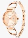 Titan Titan Raga Viva Rose Gold Dial Rose Gold MetalStrap Analog Watch ...