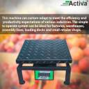 ACTIVA 200kg weight machine for shop|350x350mm platform size MILD STEEL ...