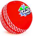 Jaspo T-20 Plus Practice Cricket Ball/Wind Balls for - Indoor & Outdoor ...