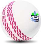 Jaspo T-20 Plus Practice Cricket Ball/Wind Balls for - Indoor & Outdoor ...