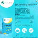 Velbiom Lactogut Probiotic Digestion Issue, Gut Health IBS, IBD ...
