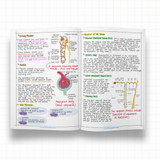 Class 11 Biology Short Notes | Handwritten & Colorful | CBSE Board ...